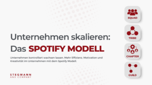Das Spotify Modell einfach erklärt - Stegmann and Company